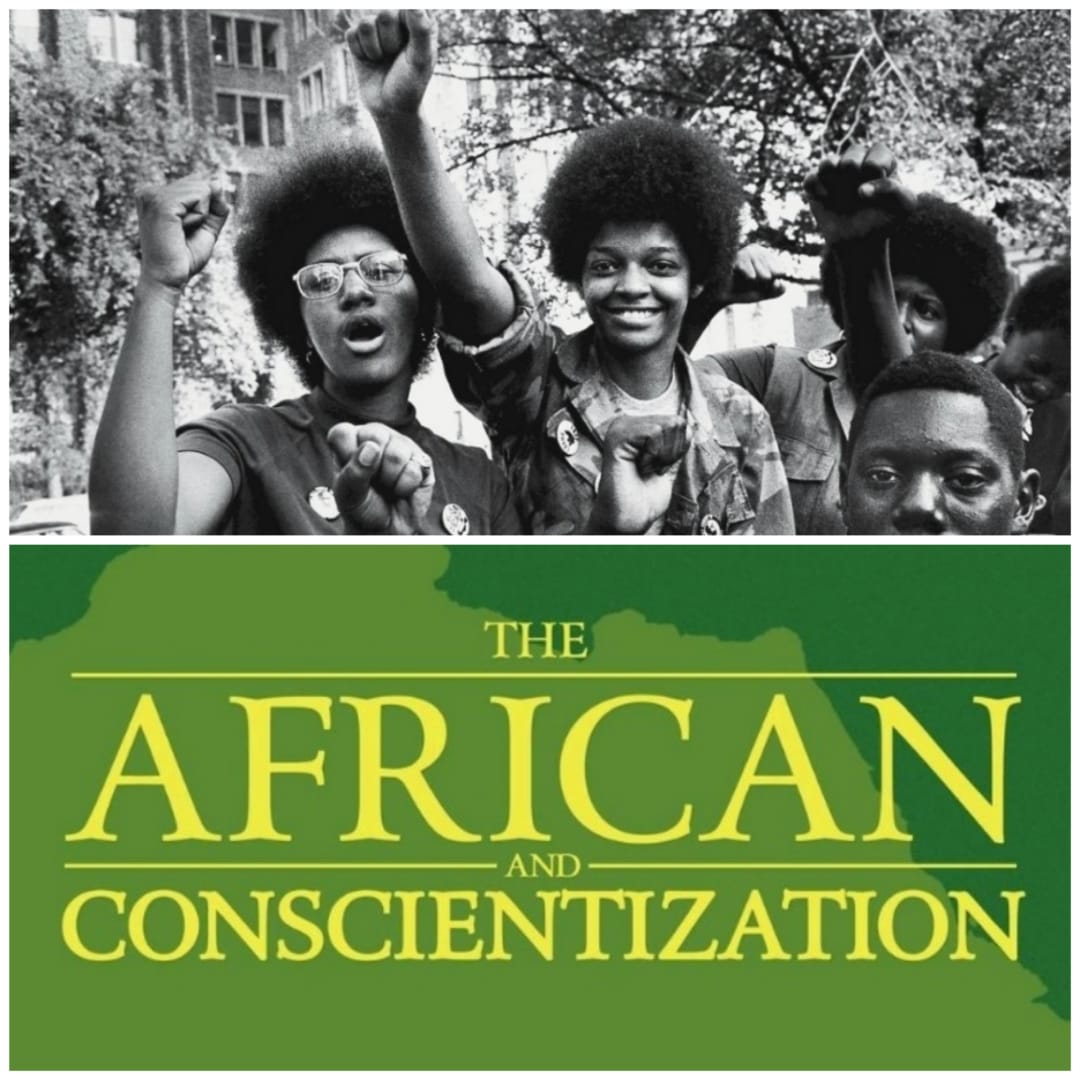 Organization The Path To The Conscientization Of Africans - African Nugget