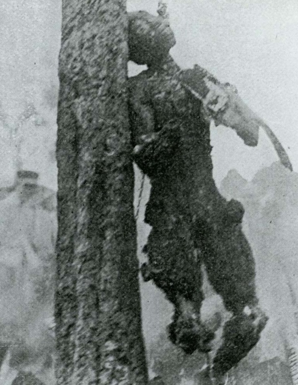 Waco Horror: Racial Injustice and the Lynching of Jesse Washington ...